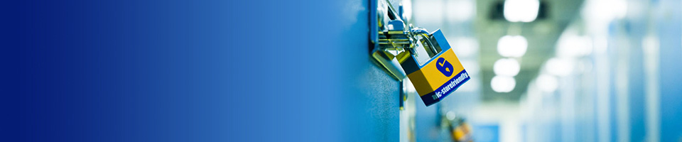 Chiaphua Industries Ltd 捷和實業有限公司